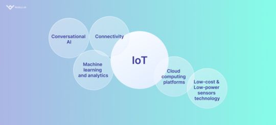 Best 10 IoT Programming Languages [Webbylab`s Experience]